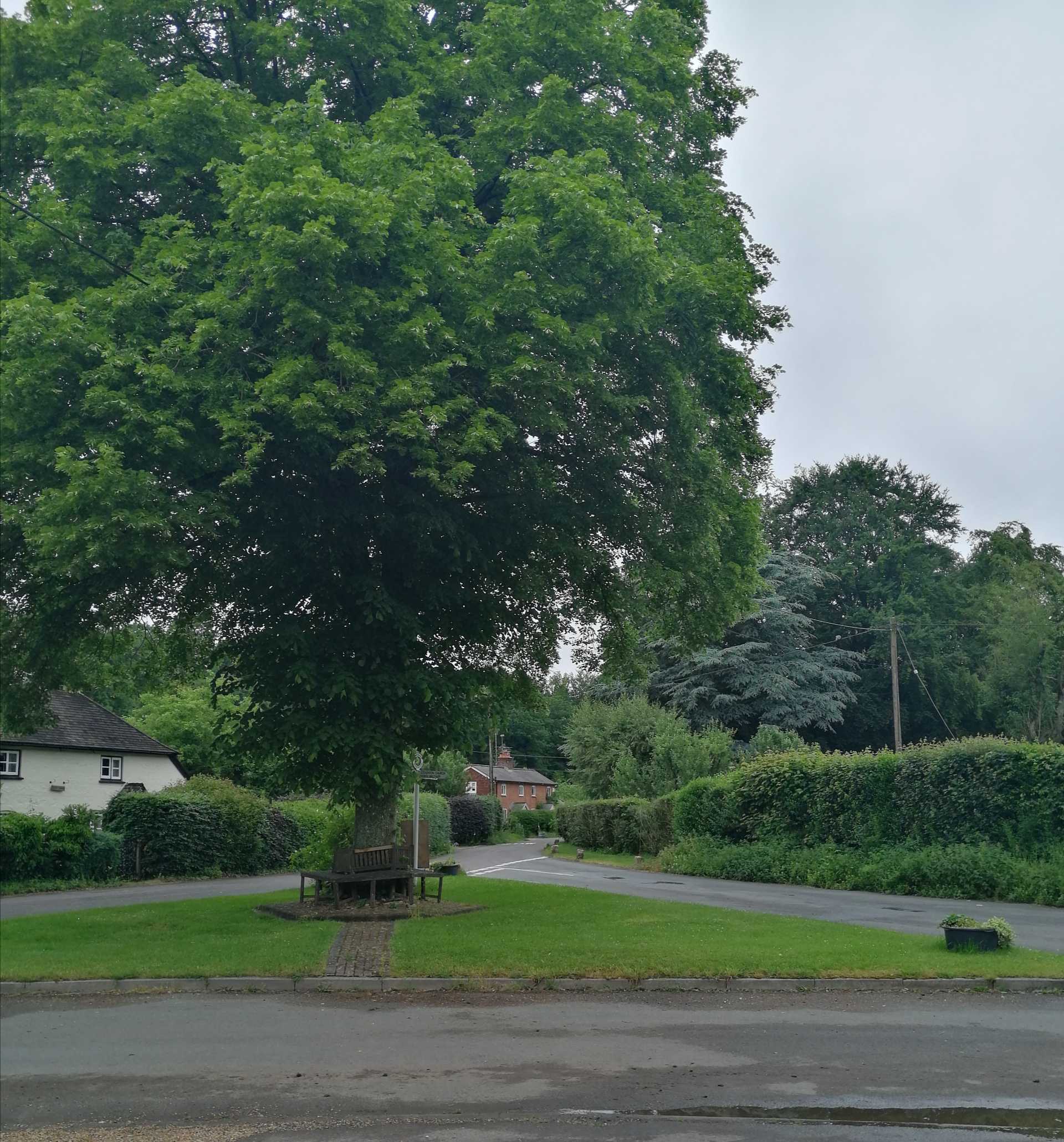 Jane Austen’s Birthplace, Steventon,UK – Wordland